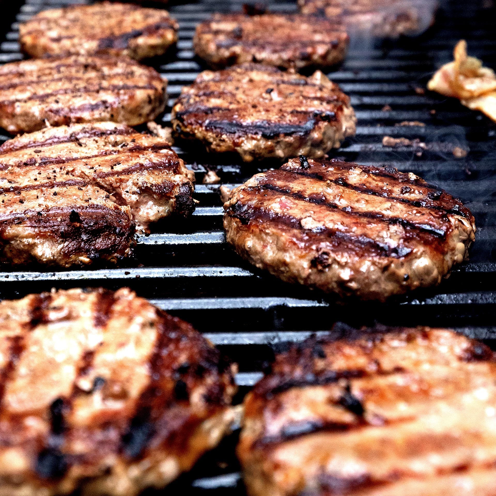 Musket Powder Seasonings - Amazing on Everything!